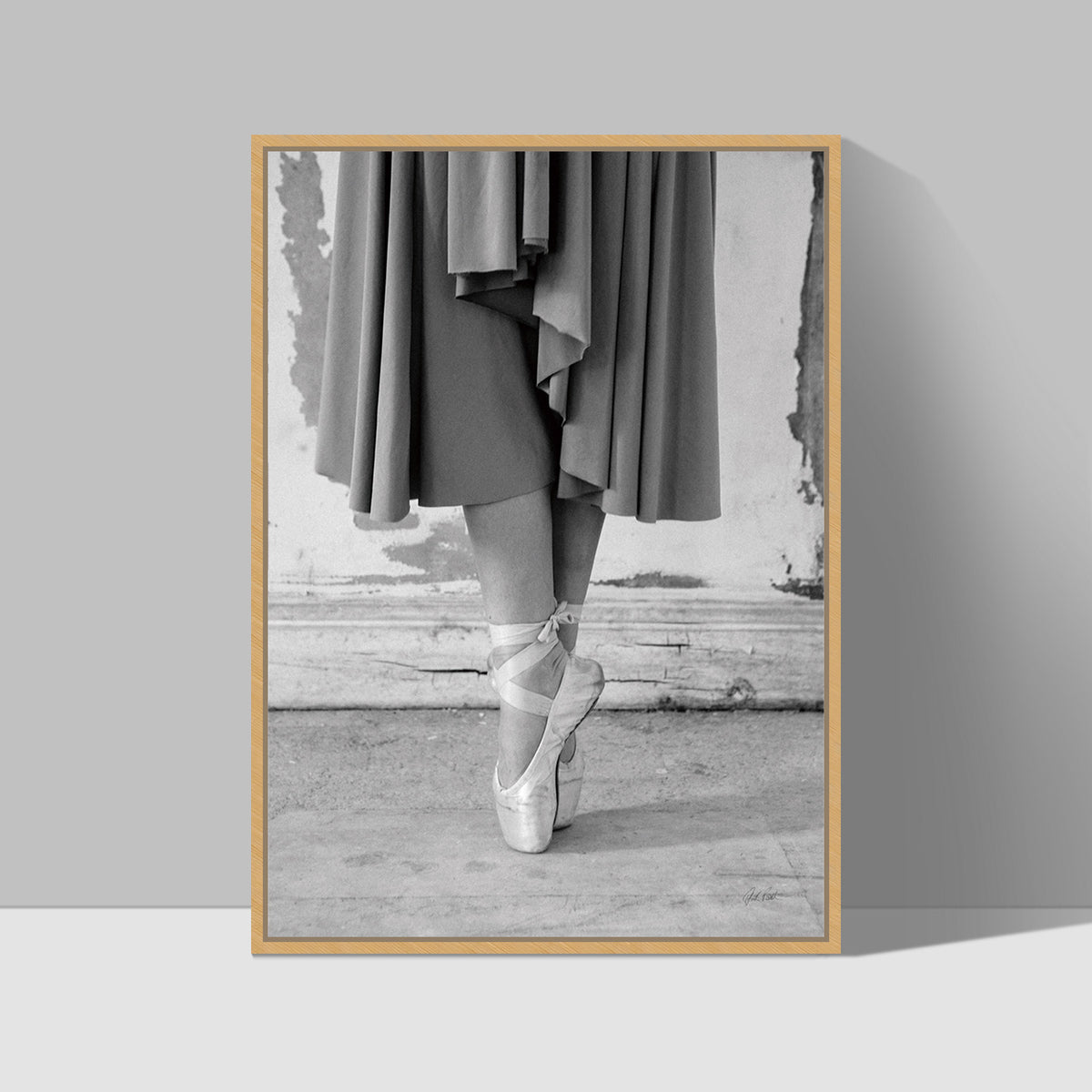 Ballet, by Deborah Revell – Zokis Canvas Art